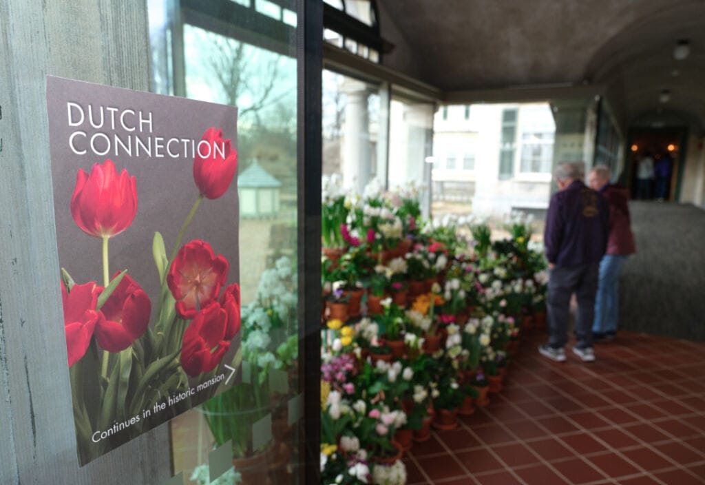 Dutch Connection Annual Floral Display Returns to George Eastman Museum ...